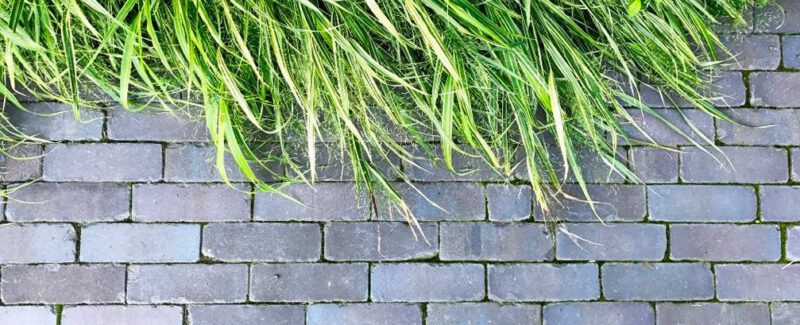 Karriere – THOMAS KORTE